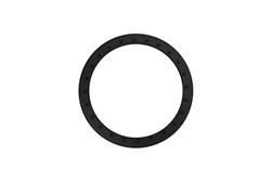 AEV RAM 3500 Beadlock Ring Kit for Borah or Crestone M10 Wheels Only ...