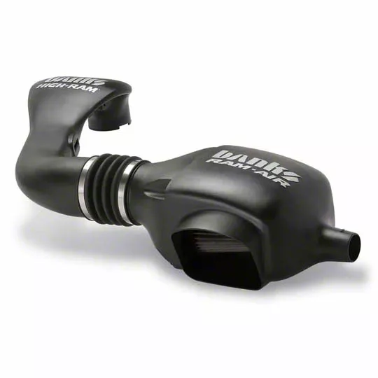 Banks Power F-150 Ram-Air Cold Air Intake with Dry Filter 41806-D (04 ...