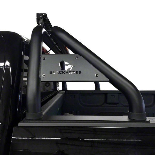 Canyon Classic Roll Bar with 5.30-Inch Black Round Flood LED Lights ...