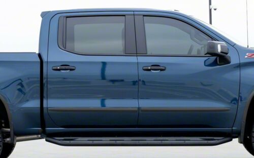 RAM 1500 Bodyside Moldings; Black (02-08 RAM 1500 Quad Cab) - Free Shipping
