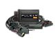 Edge F-150 Pulsar XT Inline Tuning Module 12451 (21-24 2.7L/3.5L ...