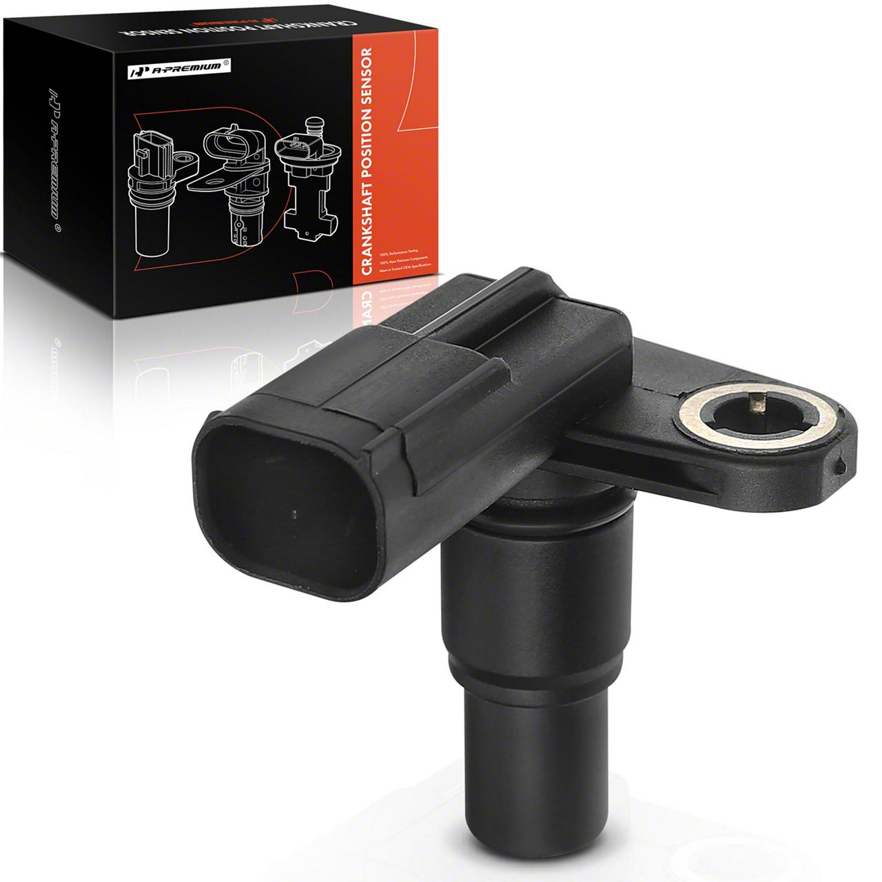 F-150 Camshaft Position Sensor (12-17 5.0L F-150) - Free Shipping