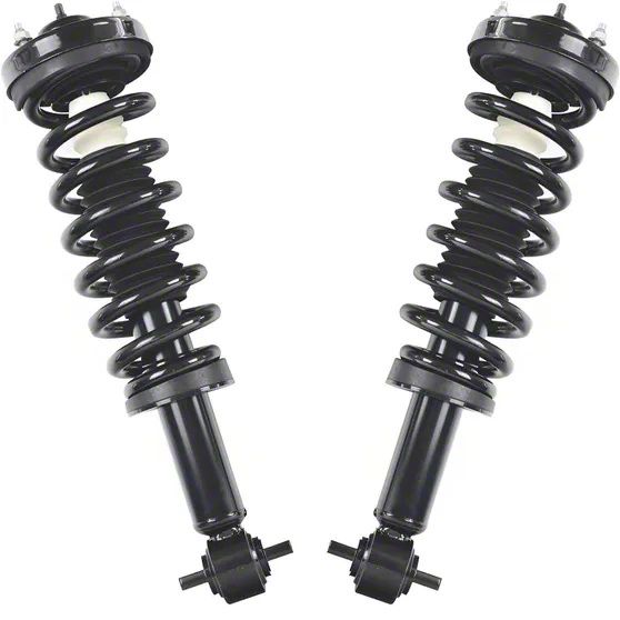F-150 Front Strut and Spring Assemblies (15-17 4WD F-150, Excluding ...