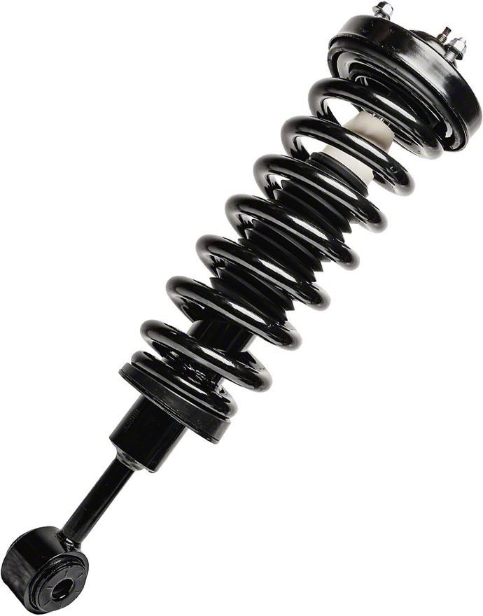 F-150 Front Strut and Spring Assembly (04-08 4WD F-150) - Free Shipping