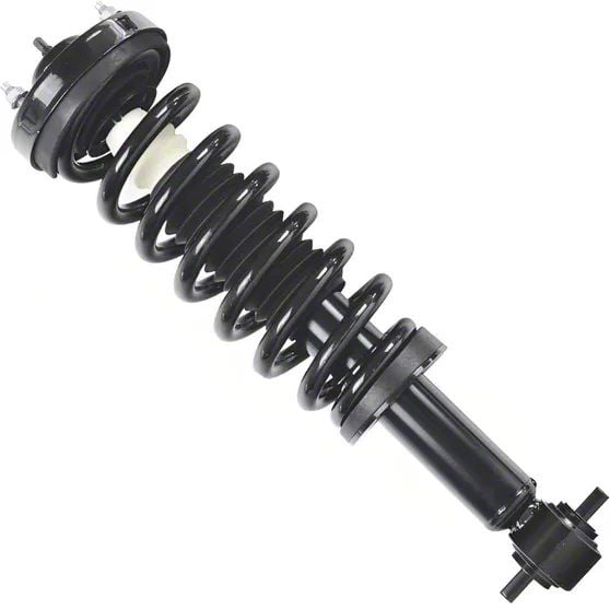 F-150 Front Strut and Spring Assembly; Passenger Side (15-17 4WD F-150 ...
