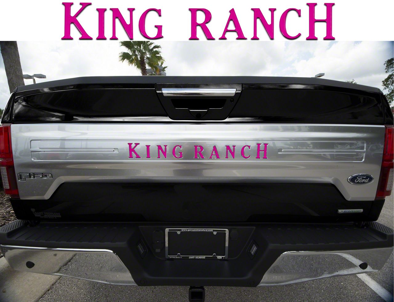 F-150 Tailgate Insert Letters; Hot Pinl (18-20 F-150 King Ranch) - Free ...
