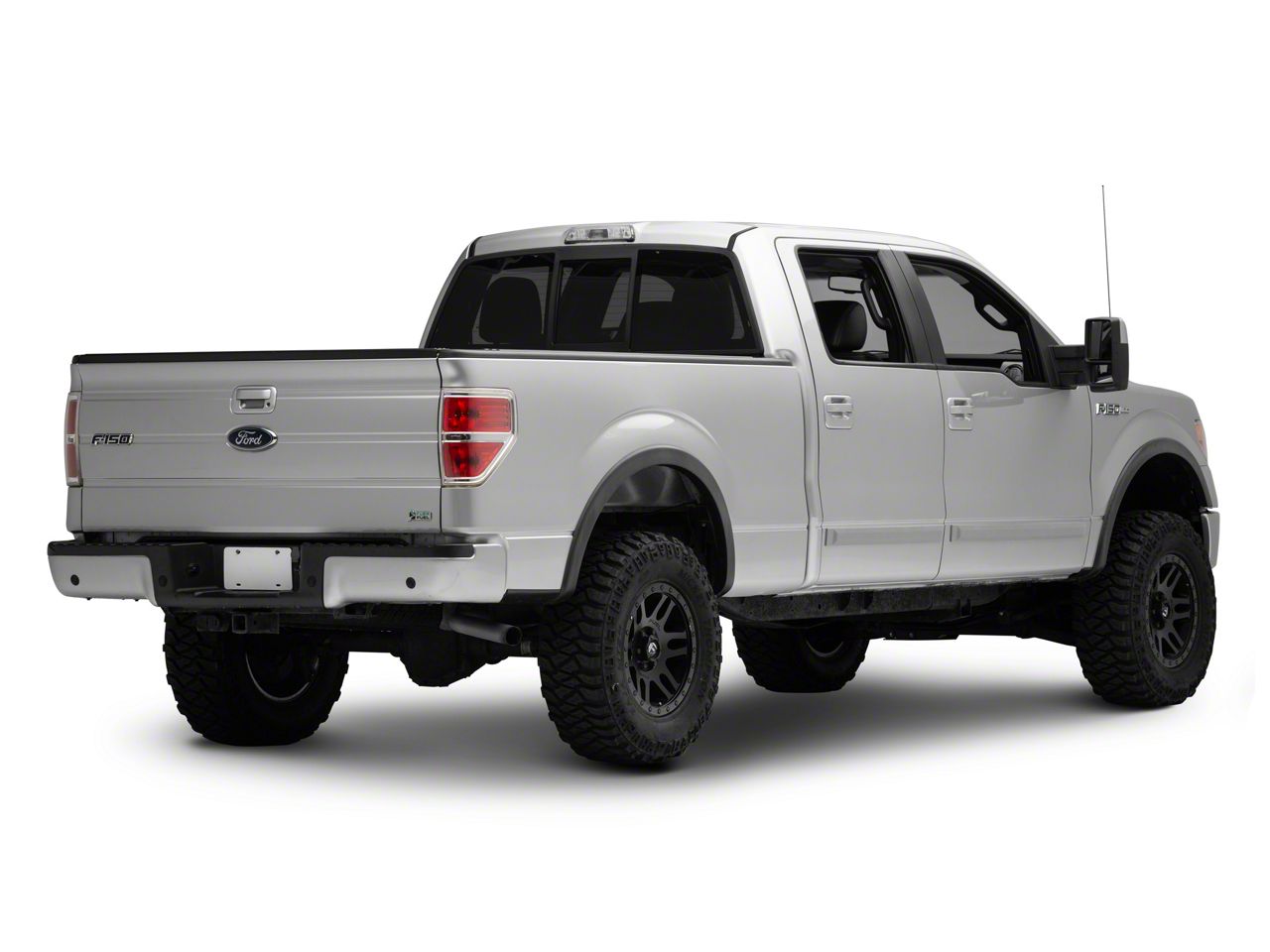 RedRock F-150 Rugged Look Body Side Moldings; Pre-Painted T532676 (09 ...
