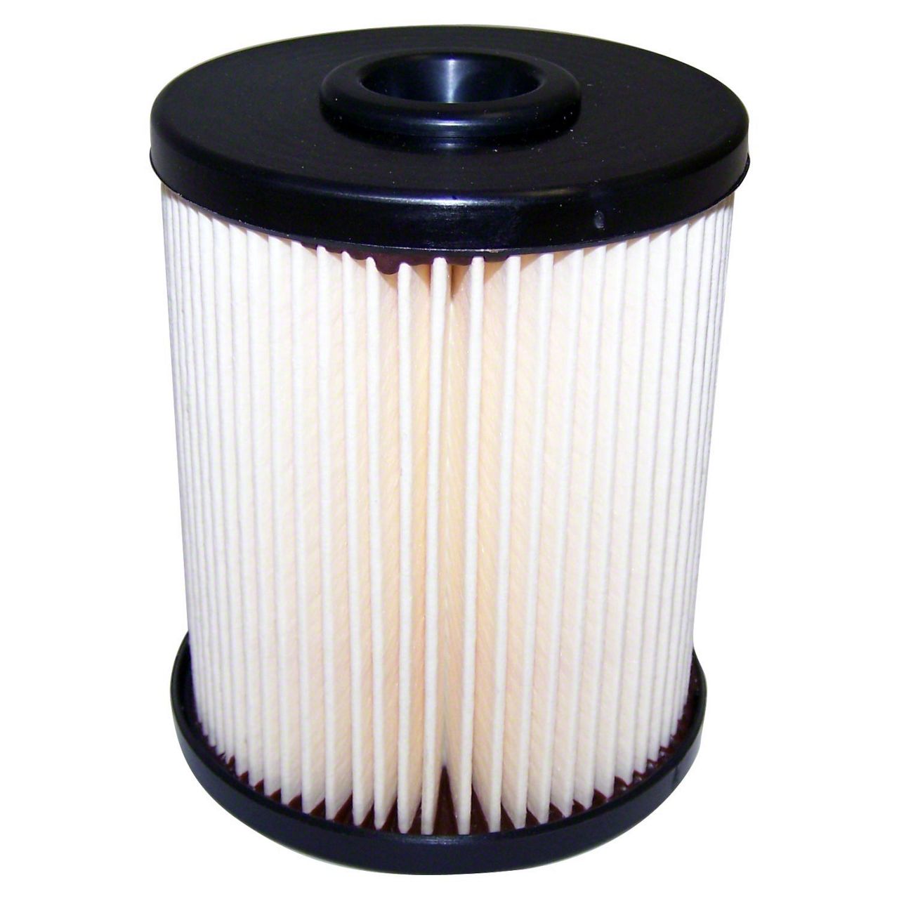 RAM 1500 Fuel Filter (02-04 5.9L RAM 1500)