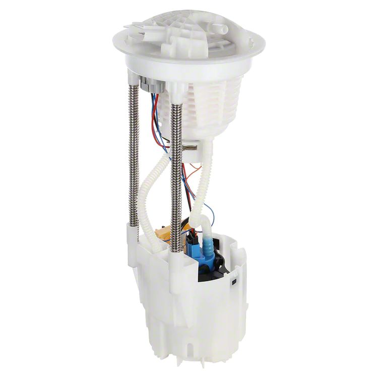 RAM 1500 Fuel Pump Module for 26-Gallon Tank (04-06 RAM 1500, Excluding ...