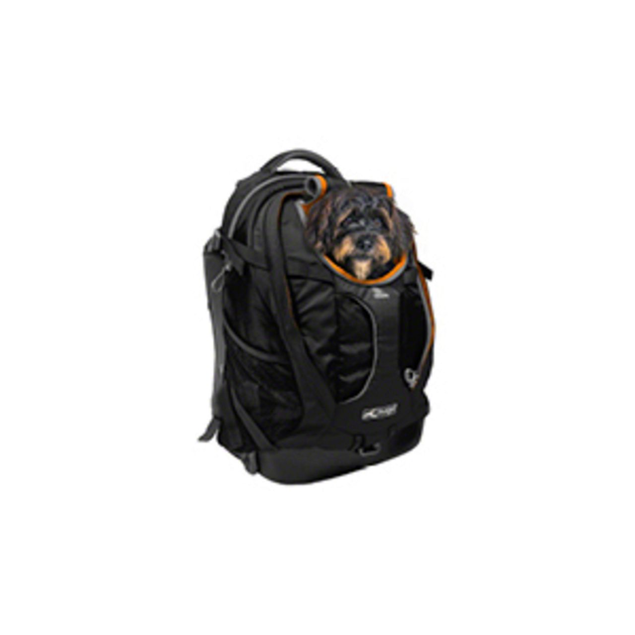 Ranger G-Train K9 Pack V2; Black - Free Shipping