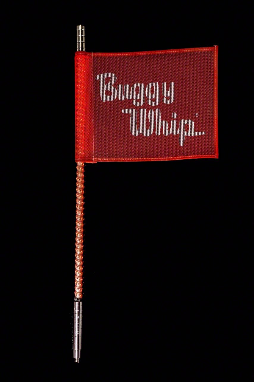 Sierra 3500 2-Foot Red LED Whip with 10-Inch x 12-Inch Red Buggy Whip ...