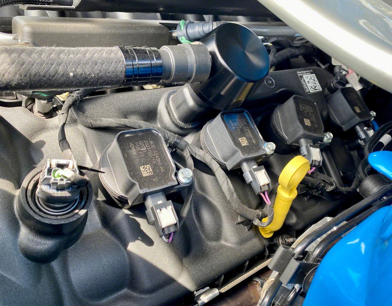 F-150 Clean Side Oil Catch Can; Black (11-14 3.5L EcoBoost F-150 ...