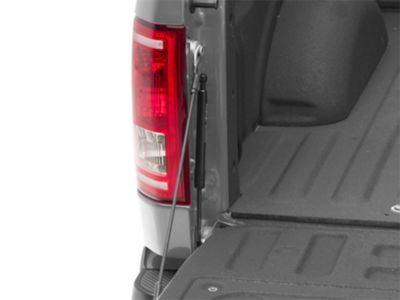 F-150 Tailgate Assist (15-25 F-150) - Free Shipping