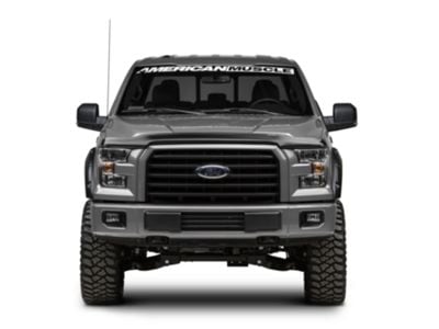 Weathertech F-150 Stone and Bug Deflector; Dark Smoke 50252 (15-20 F ...